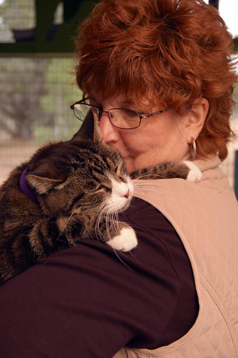 Feral Cat Begins to Seek Human Attention | Best Friends Animal Society ...