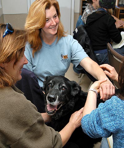TTouch for Dogs Training | Best Friends Animal Society - Save Them All