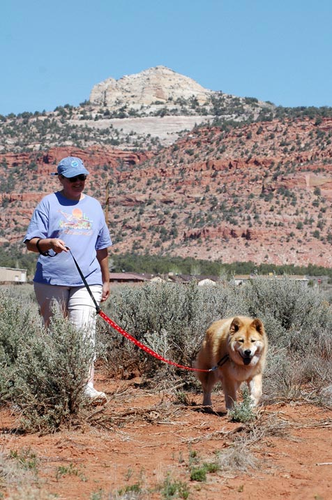 Very Shy Dog | Best Friends Animal Society