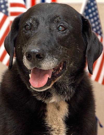Soul mate | Best Friends Animal Society