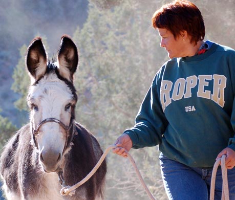 Walking a Donkey | Best Friends Animal Society
