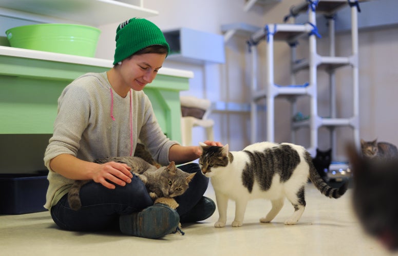 Scared Cat Transformed | Best Friends Animal Society