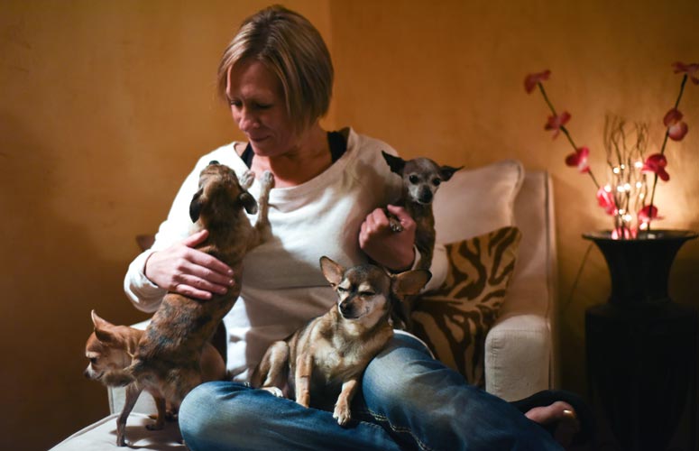 16-Year-Old 'Super Senior' Chihuahua Adopted | Best Friends Animal Society