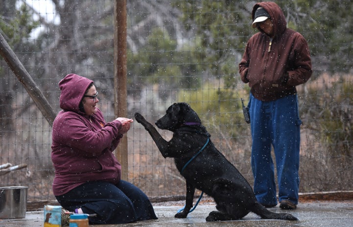 Helping Dog Afraid of Men | Best Friends Animal Society