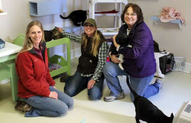 Family Volunteers at Best Friends | Best Friends Animal Society
