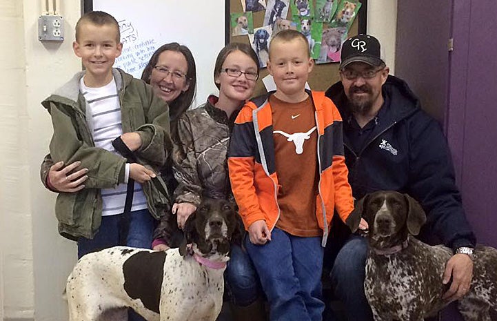 Purebred Dog Rescue | Best Friends Animal Society