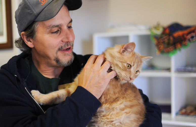 Former stray cat has “it” factor | Best Friends Animal Society - Save ...