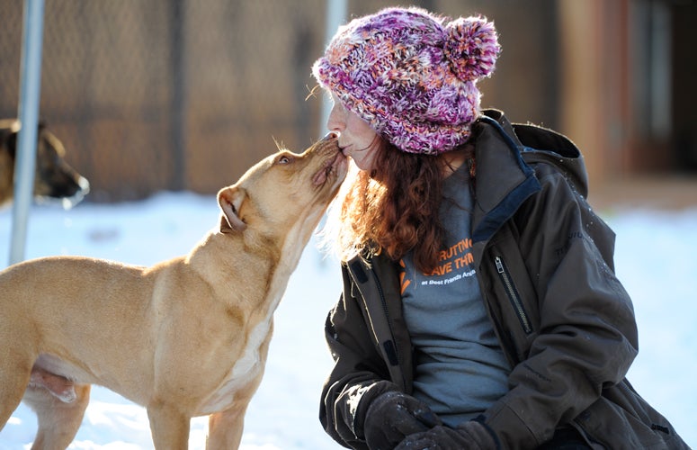 Dogfighting Dog Adopted | Best Friends Animal Society