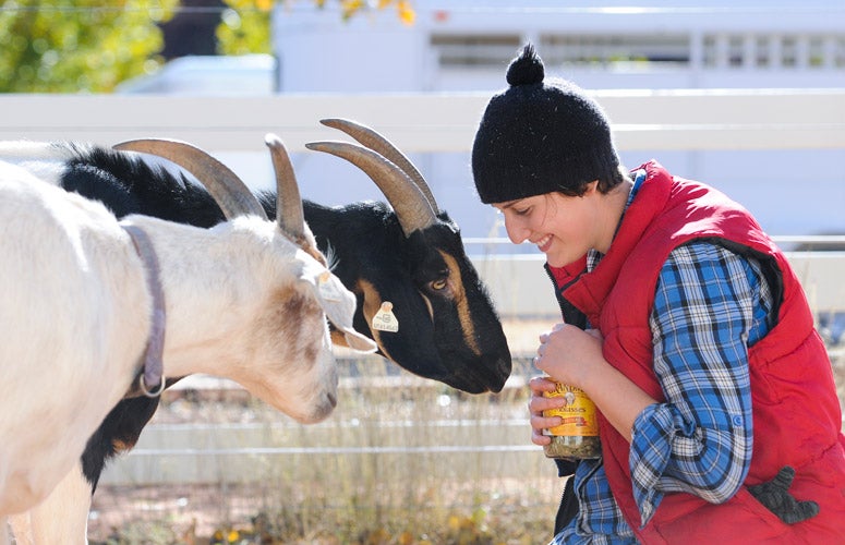 Socializing Goats | Best Friends Animal Society