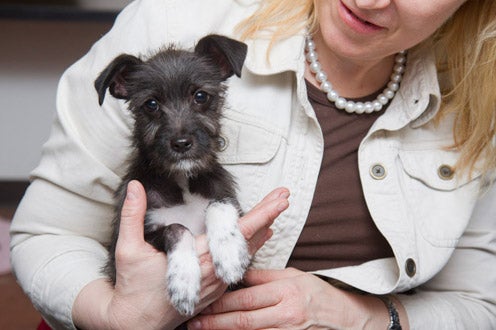 Best Friends L.A. Adoption Center Opens | Best Friends Animal Society