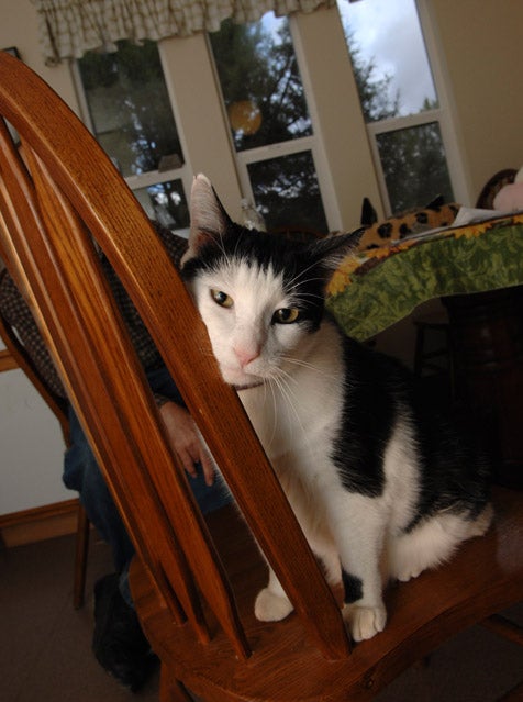 Way to go, Andrew! (and welcome to the new guys) | Best Friends Animal ...