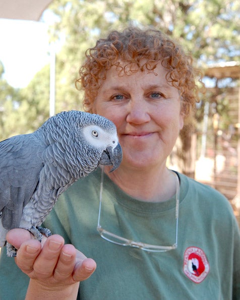 Parrot Rescue Phoenix Landing | Best Friends Animal Society