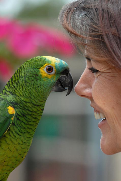 Calling the bluff | Best Friends Animal Society - Save Them All