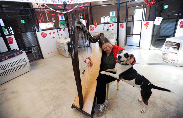 Harpist Plays for Animals | Best Friends Animal Society