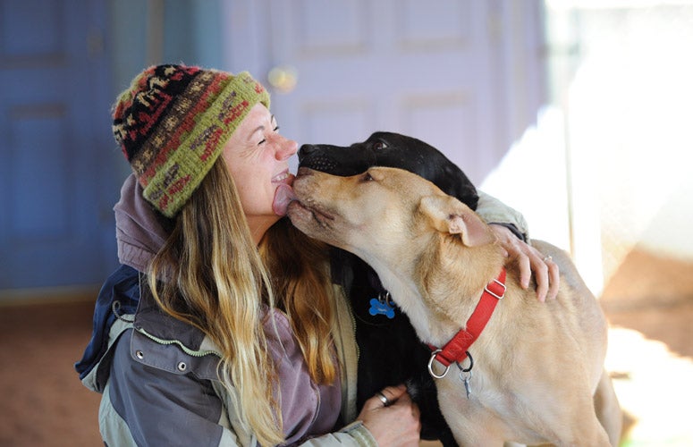 Shy Lab and Cattle Dog | Best Friends Animal Society