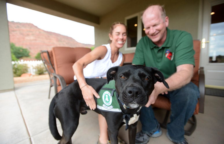 Black Lab Puppy Becomes Therapy Dog | Best Friends Animal Society