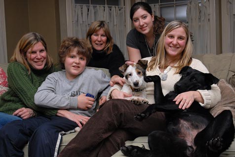 Stray Dogs from Iraq | Best Friends Animal Society