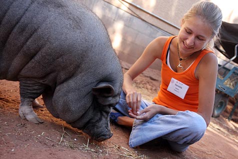 Pig Whisperer | Best Friends Animal Society