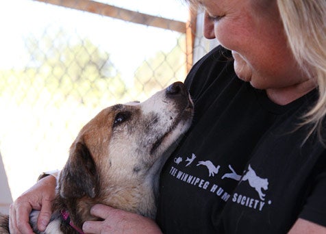 The Lucky Seven | Best Friends Animal Society