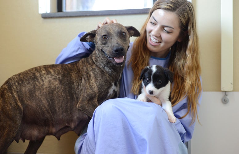 Surrogate Mother Dog | Best Friends Animal Society