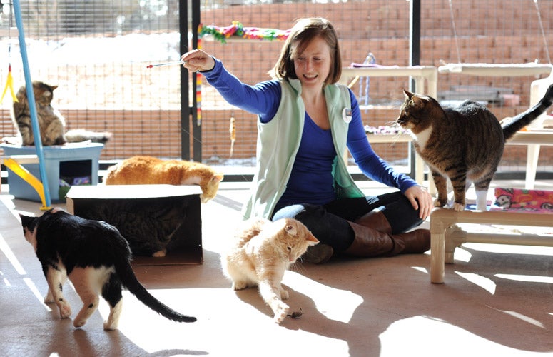 Nonprofit Volunteer for Animal Events | Best Friends Animal Society