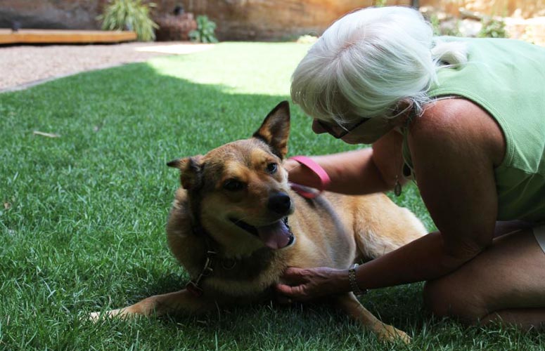 Bringing families together at the Sanctuary | Best Friends Animal Society