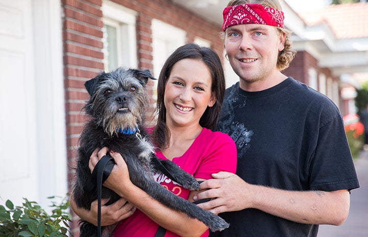 Adoptable Dogs for Veterans | Best Friends Animal Society