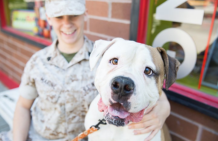 Therapy Dog for Veteran | Best Friends Animal Society