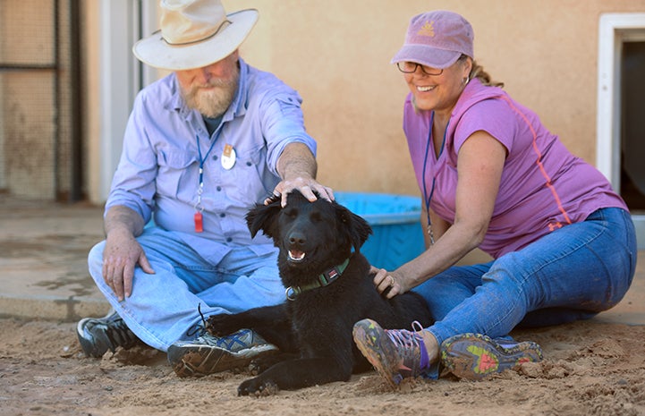 RV Animal Vacation | Best Friends Animal Society