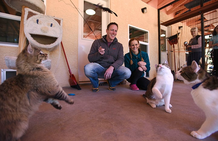 Volunteer Vacations Animals | Best Friends Animal Society