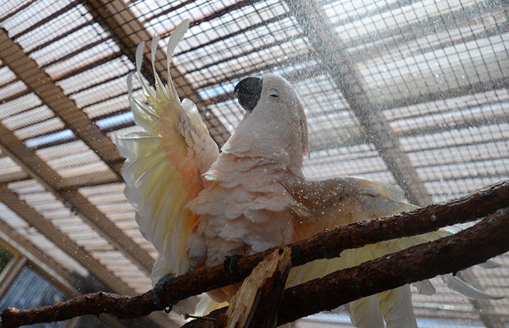 Spring Animal Pictures | Best Friends Animal Society