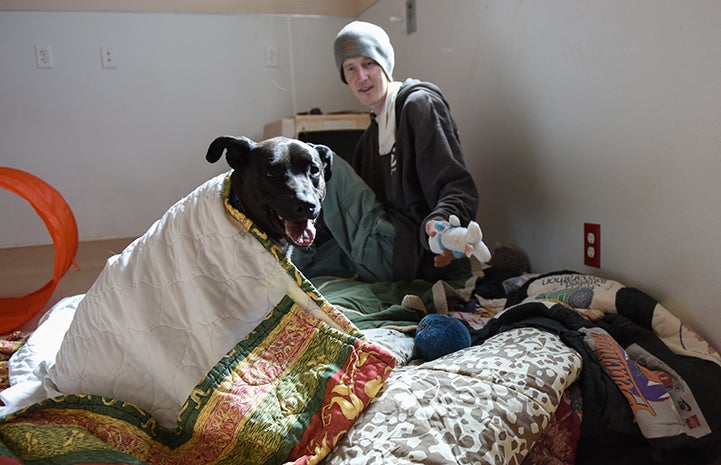 Dog OCD Treatment | Best Friends Animal Society