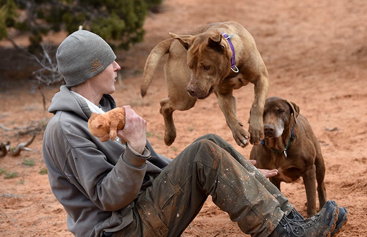 Introverted and Extroverted Dog Friends | Best Friends Animal Society