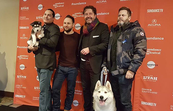 Arctic Breeds Rescue Spotlight | Best Friends Animal Society