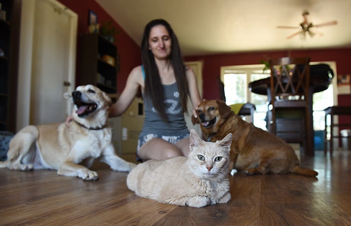 Cat Foster Home | Best Friends Animal Society