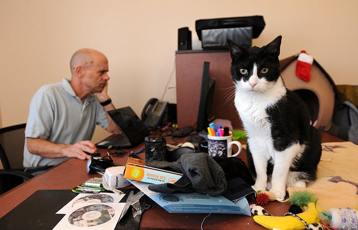 Distrustful Cat | Best Friends Animal Society