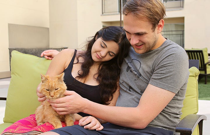 Two Senior Special-Needs Cats Adopted | Best Friends Animal Society
