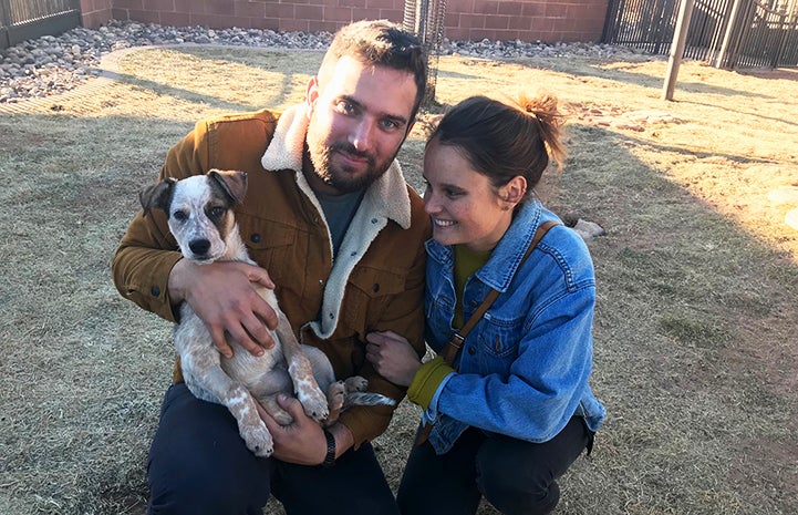 Traveling with a Puppy in a Van | Best Friends Animal Society