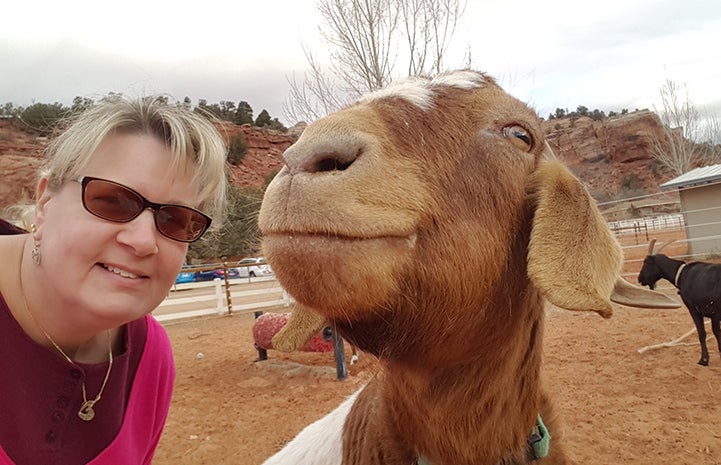 Therapy for the Soul Volunteer Trip | Best Friends Animal Society