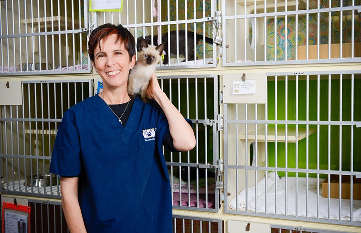 Dr. Kate Hurley's Cat Advocacy | The Best Friends Blog