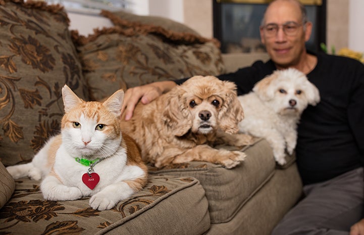 Adopting the Perfect Pet | Best Friends Animal Society