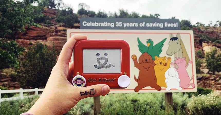 Etch A Sketch Animal Drawings | Best Friends Animal Society