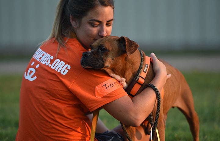 Dream Job with Dogs | Best Friends Animal Society