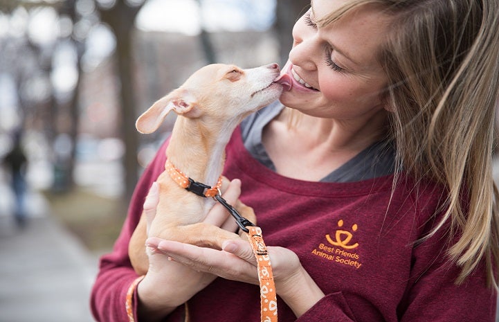 Humane Communities for Animals | Best Friends Animal Society