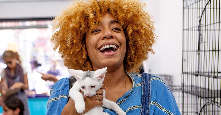 Labor Day Cat & Kitten Adoption Event NYC | Best Friends Animal Society