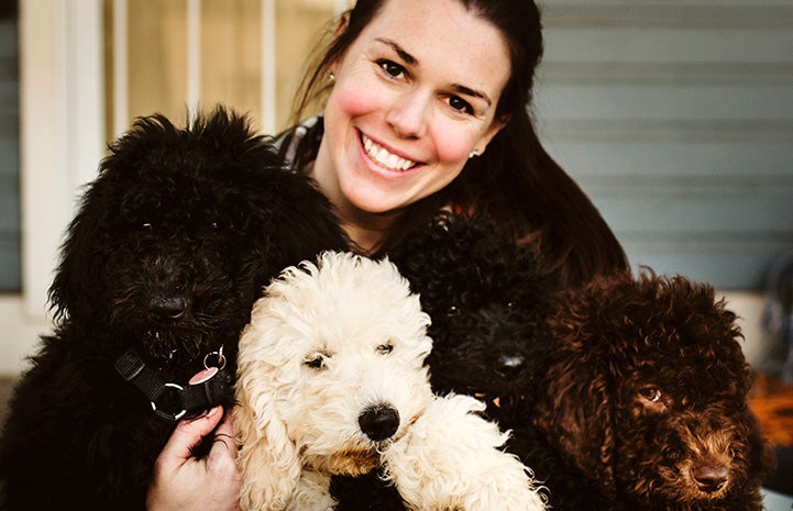 "A Dog's Purpose" author finds new purpose: animal welfare | Best ...