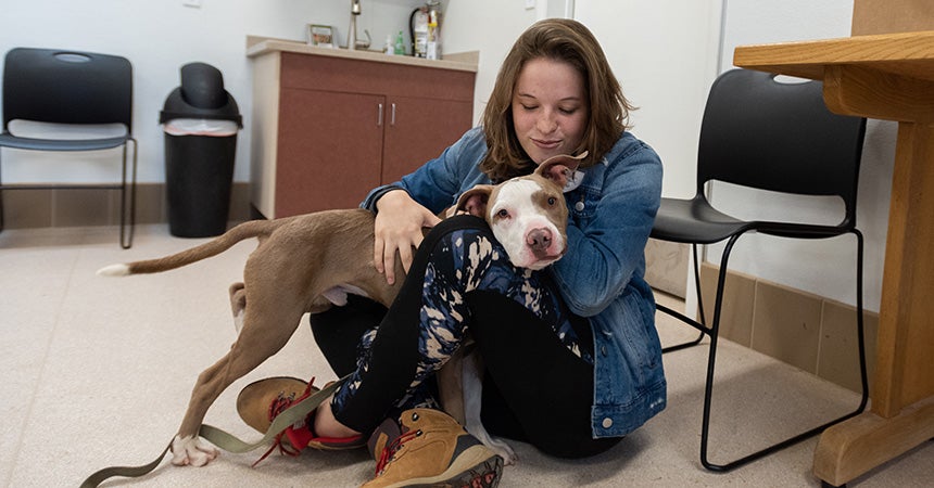 Animal welfare: Doing what we do best | Best Friends Animal Society