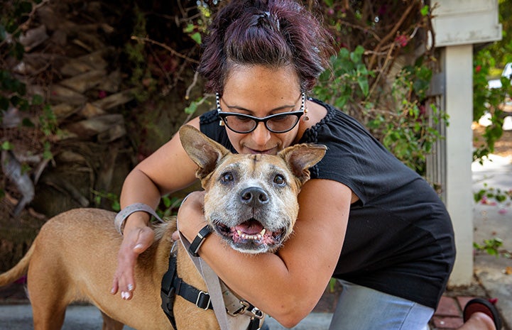 Senior dog gets help from friends | Best Friends Animal Society