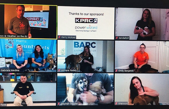 Adoption PSA saves 1,500 Houston pets | Best Friends Animal Society