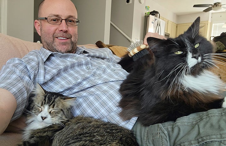 Cat Bearding Gone Wrong